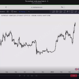 ICT Romeo - Turtle Soup Course - Tutor Labz